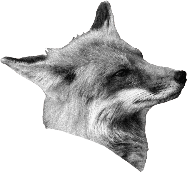 FOX BAR - FOX Food Market Brussels