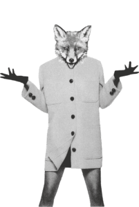 Food Market Brussels - FOX